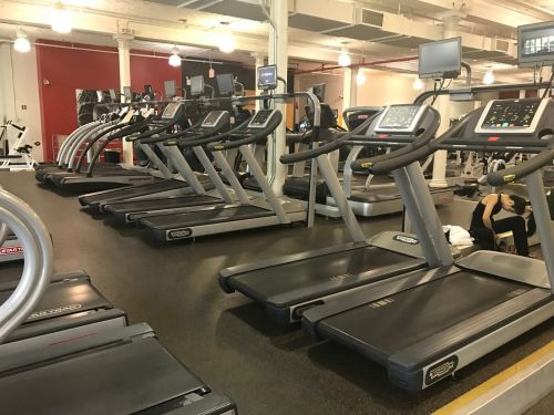 Technogym Jog Forma Treadmill– Empire Fitness Solution